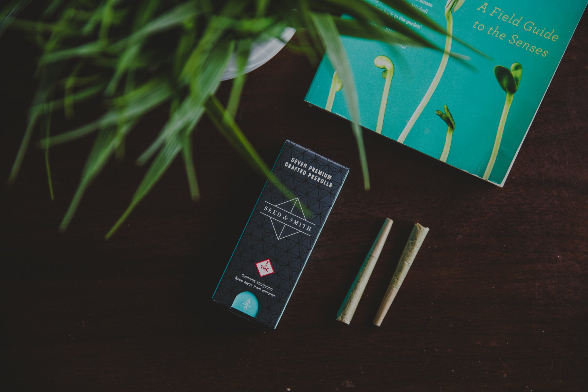 Joints 101 | Seed & Smith