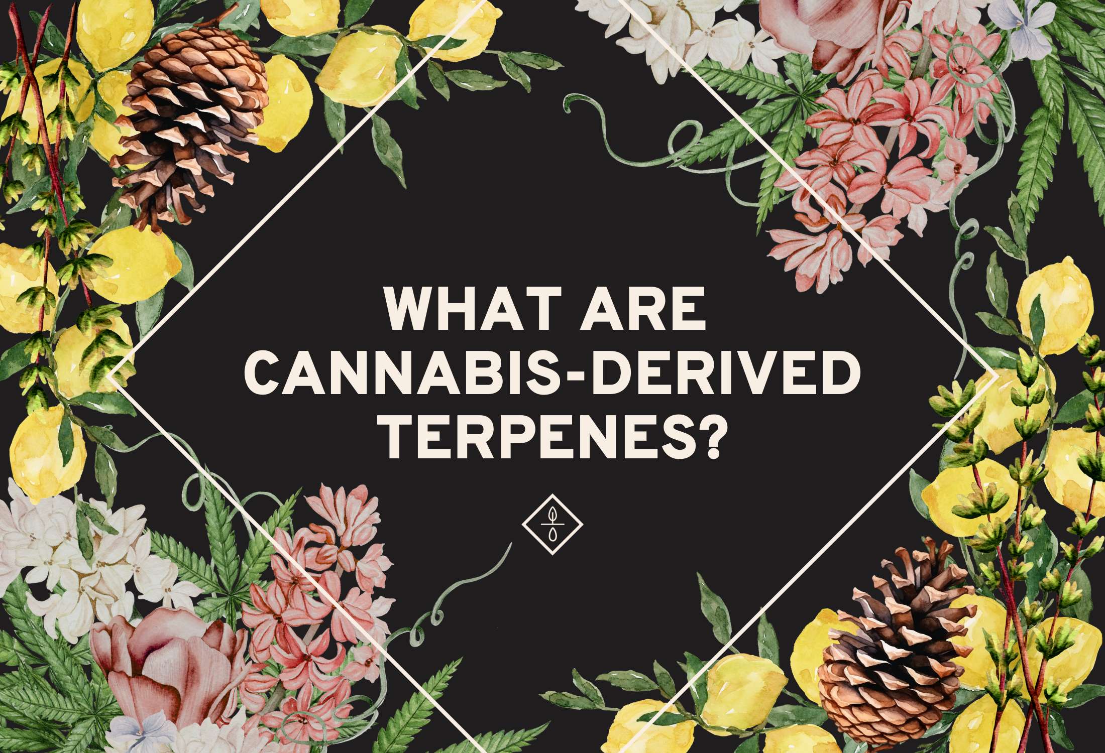 Seed & Smith Nature’s Aromatic Powerhouses: Cannabis-Derived Terpenes