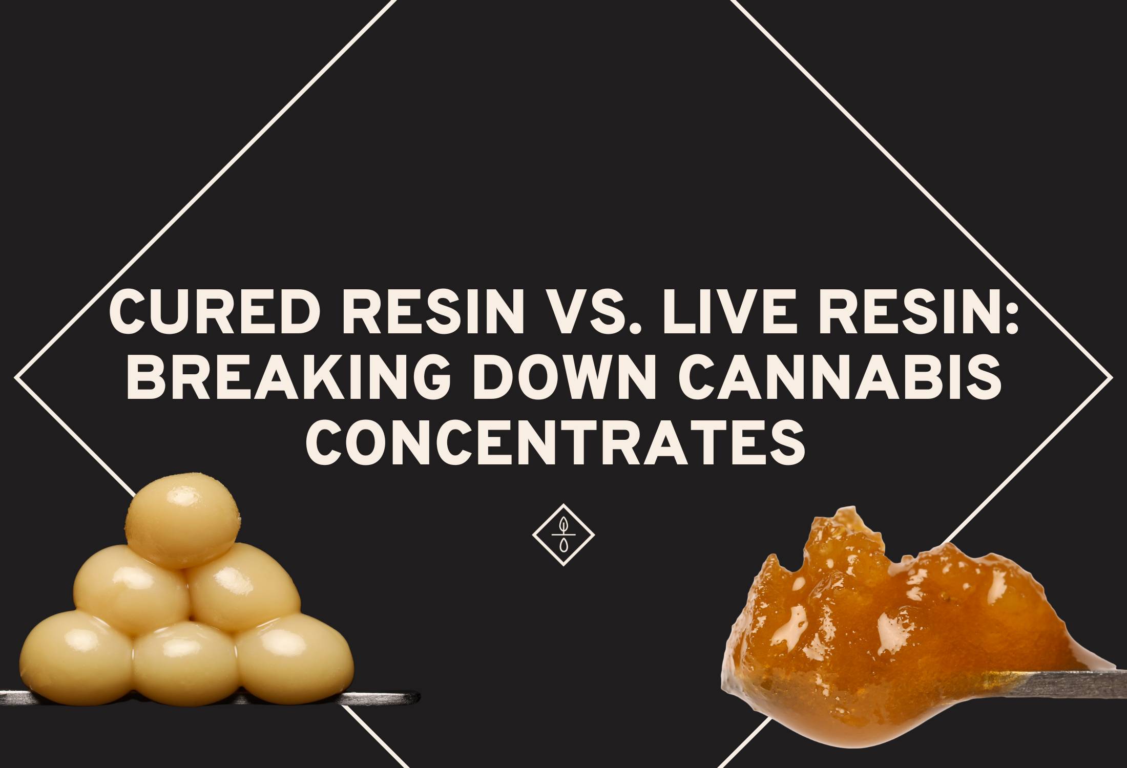 Seed & Smith Cured Resin vs. Live Resin: Breaking Down Cannabis ...