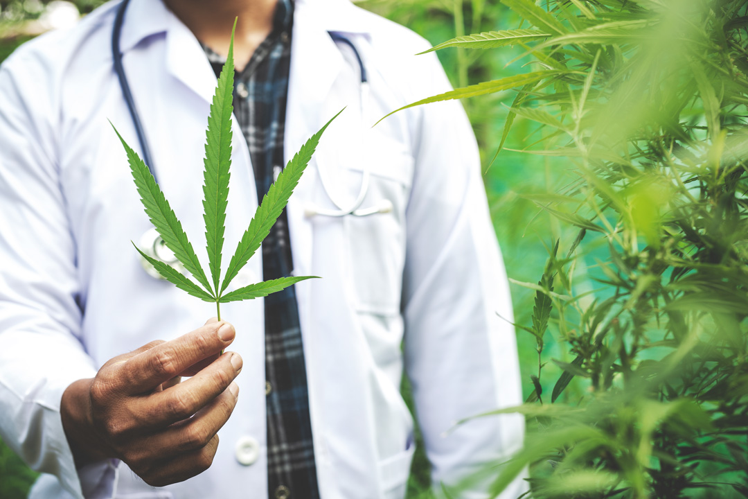 Seed & Smith Medical Marijuana Partners | Seed & Smith